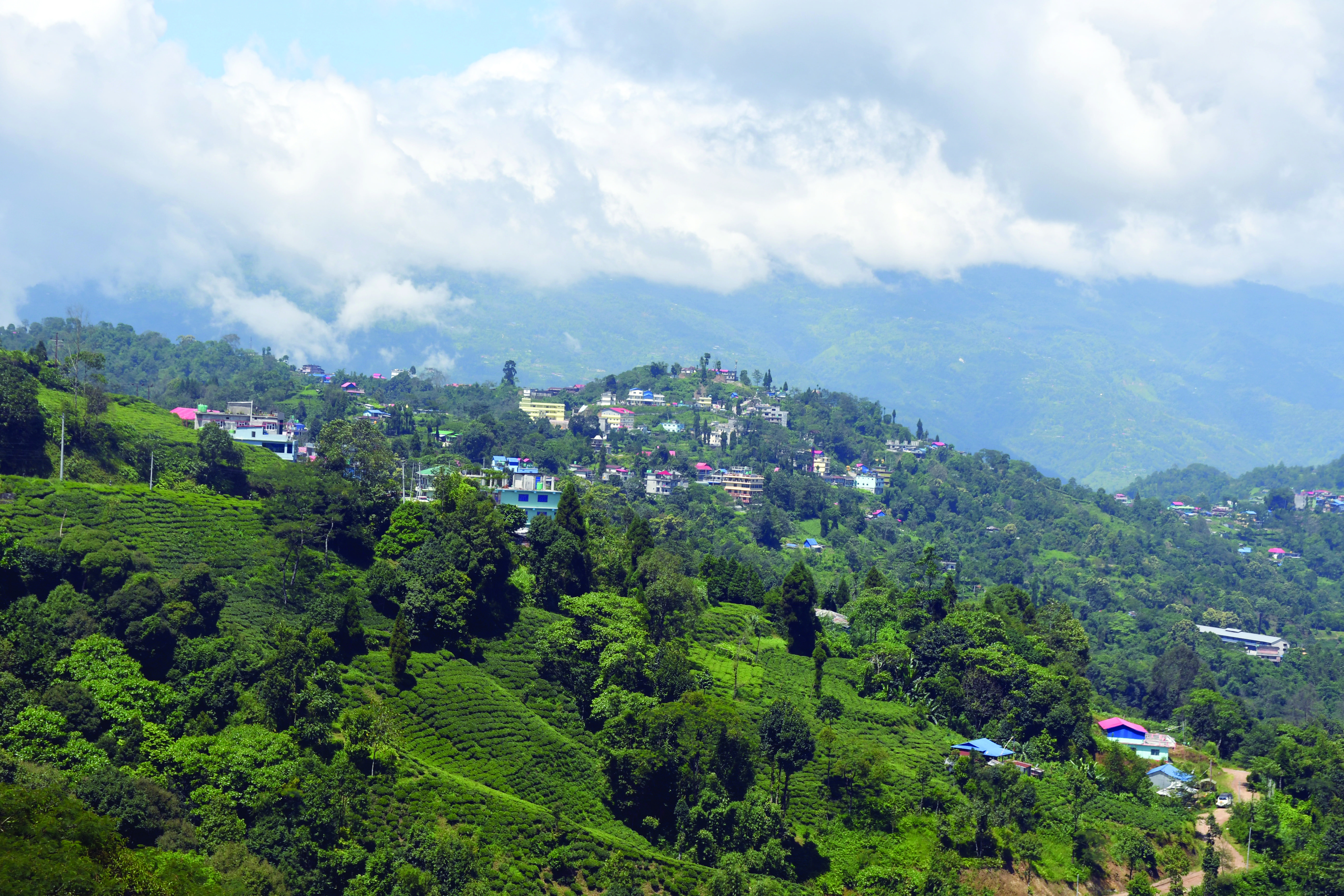 Exhilarating Ilam: Where the Body and Mind Rejuvenate | Buddha Air