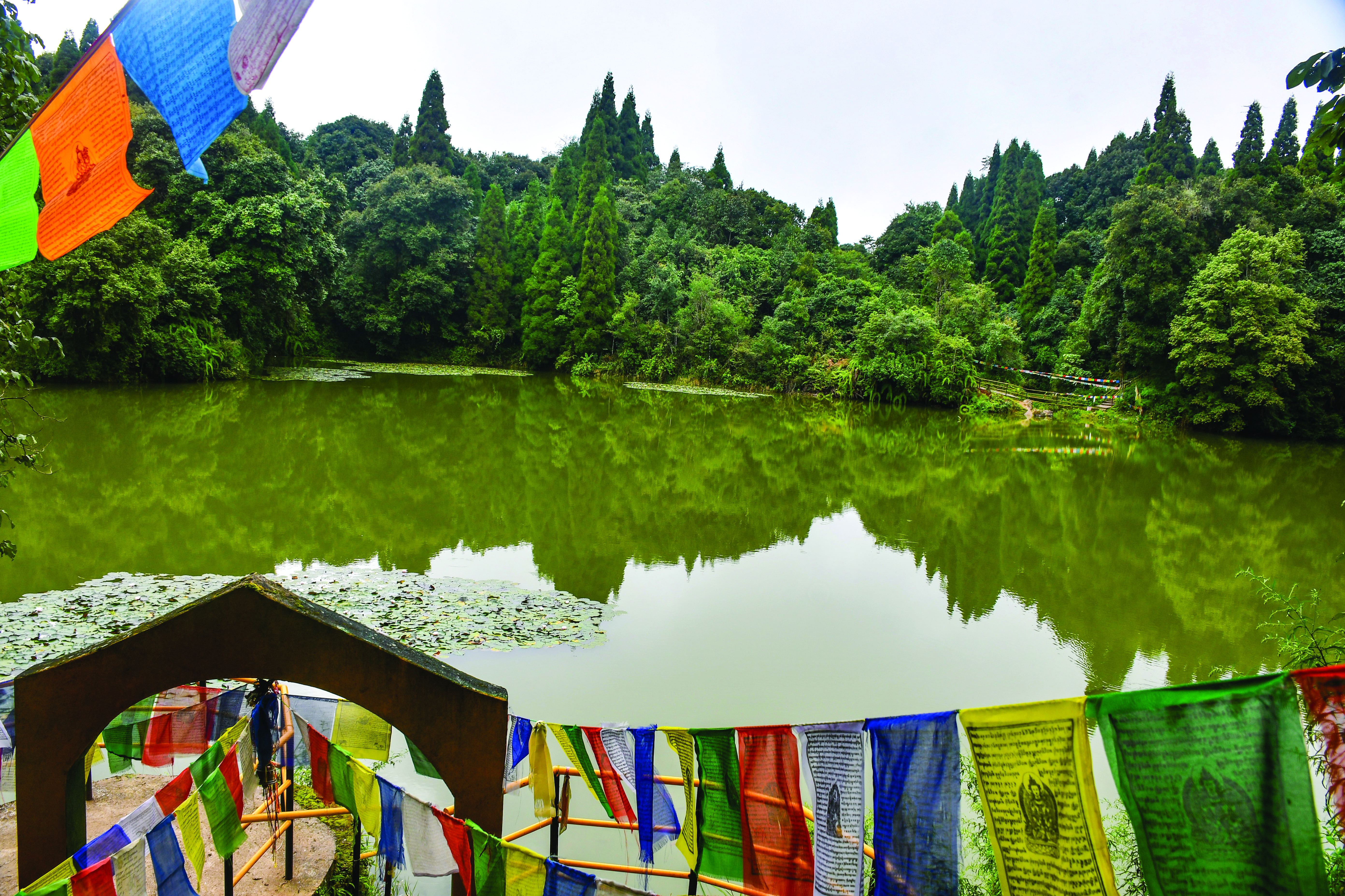 Exhilarating Ilam: Where the Body and Mind Rejuvenate | Buddha Air