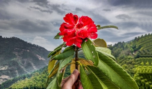 Flights To Tumlingtar: Book Buddha Air Tickets @Lowest Price