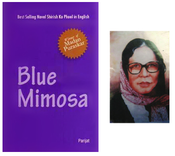 English Translations of Nepali Books | Nepali writer books