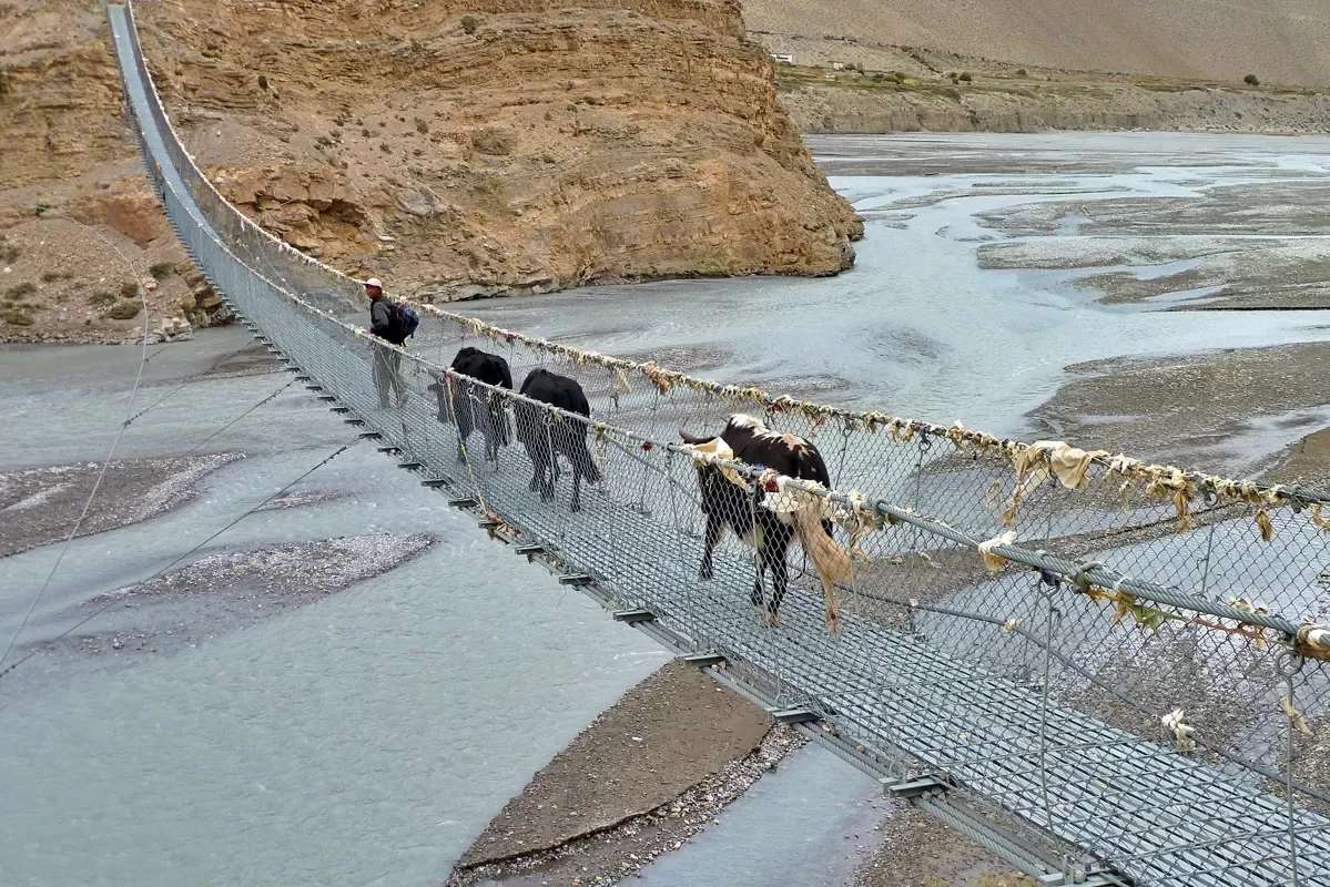 List of Major Rivers in Nepal, Their Origins & Destinations